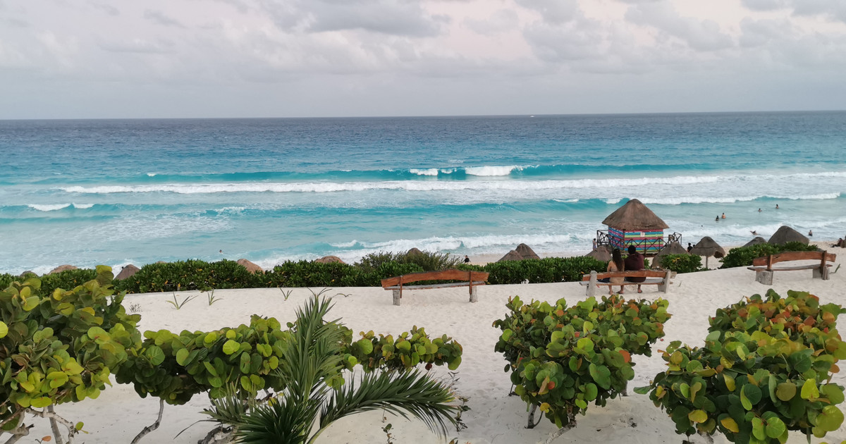 Three papers and invited session @ CDC 2022 - RCS - TU Dortmund